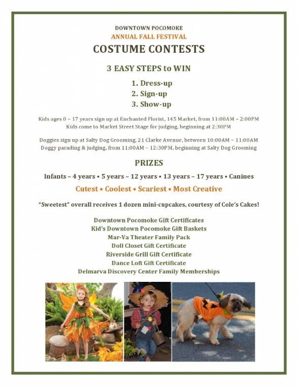 The Pocomoke Public Eye: Annual Fall Festival ~ Costume Contest