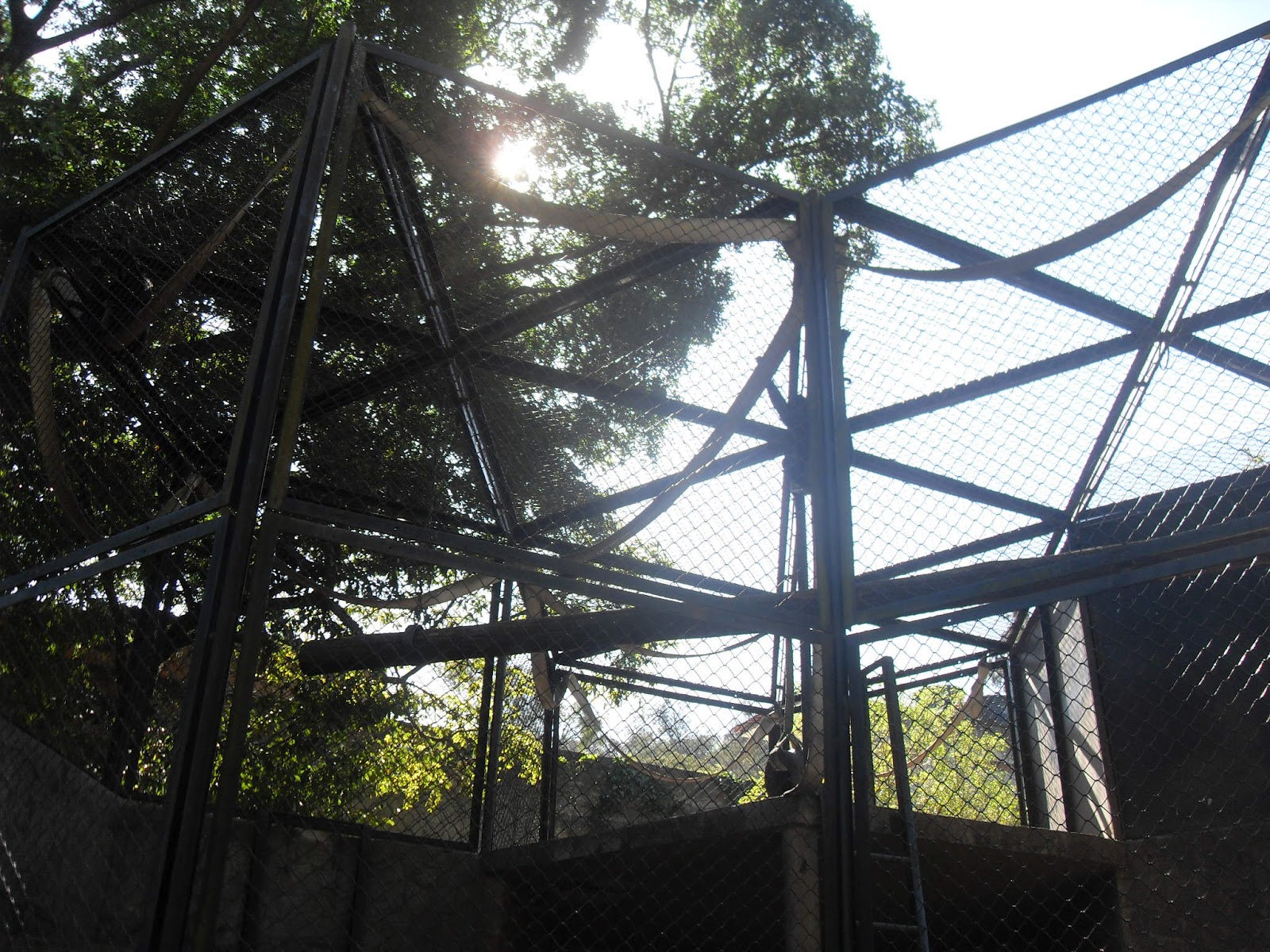 Guia Rio: RIOZOO - Fundação Jardim Zoológico da Cidade do Rio de Janeiro