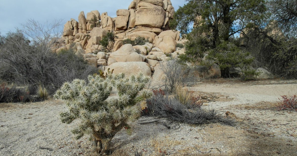 Earrings Everyday: Winter Solstice in the Desert