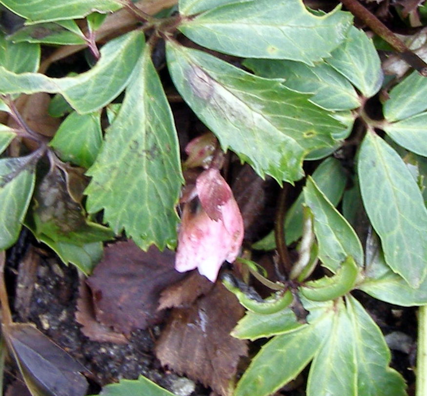 FUTULAND: Kevade külmad tuuled