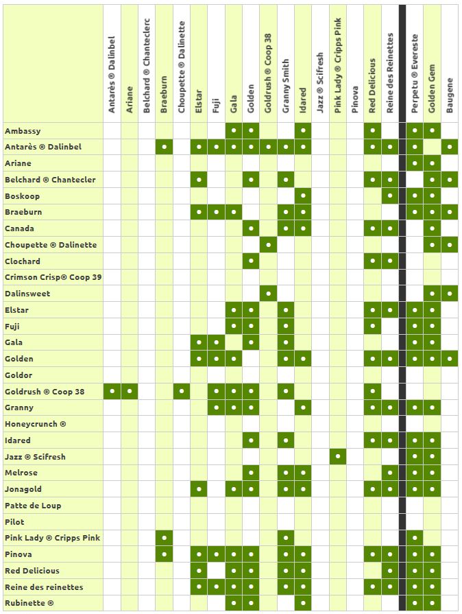 Breuillet Nature: Les pommiers