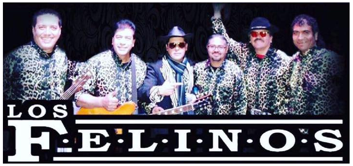 CONTRATACION DE GRUPOS MUSICALES: Los Felinos