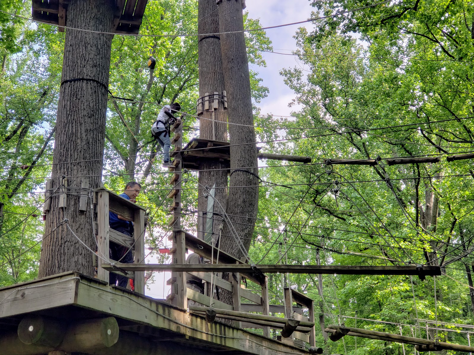 Ben's Journal: Adventures in Aerial Therapy - Sandy Spring Adventure Park