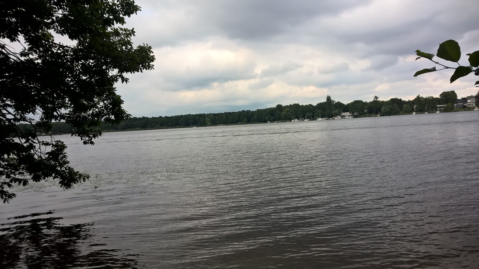 IU in Berlin, Summer '15: Forst Spandau (Spandau Forest)