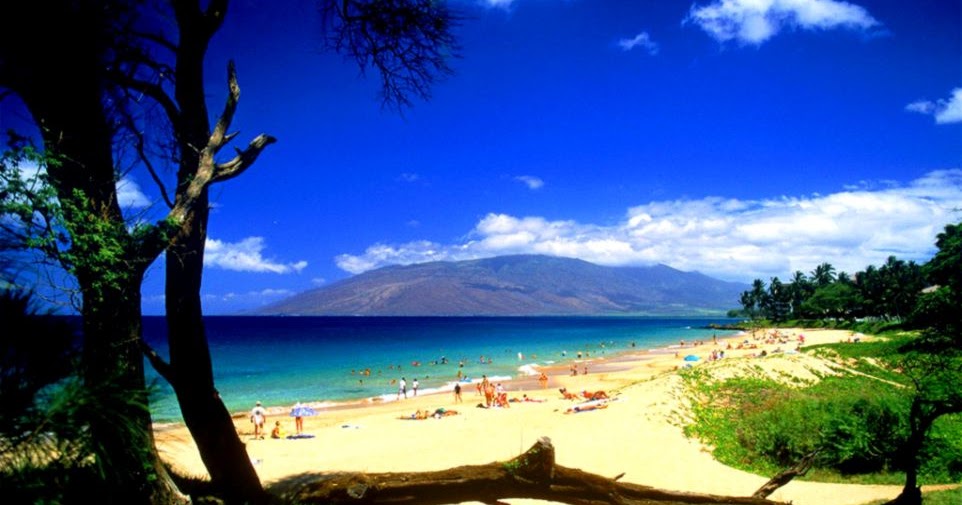 What39s Inside Your Computer Cabinet Cpu Box Science Abc