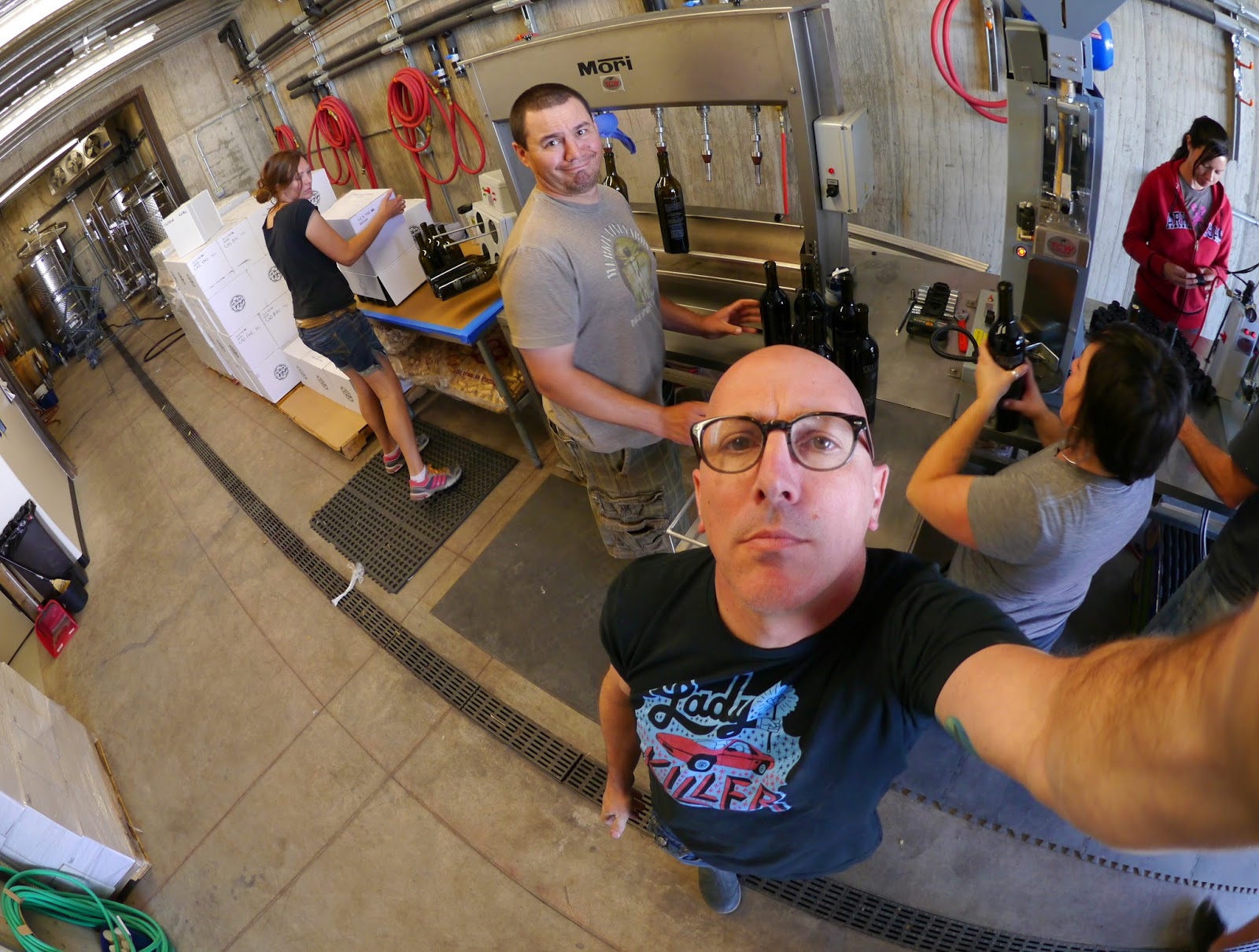 d r i n k s t e r: NEW ARRIVALS AT MAYNARD'S CADUCEUS