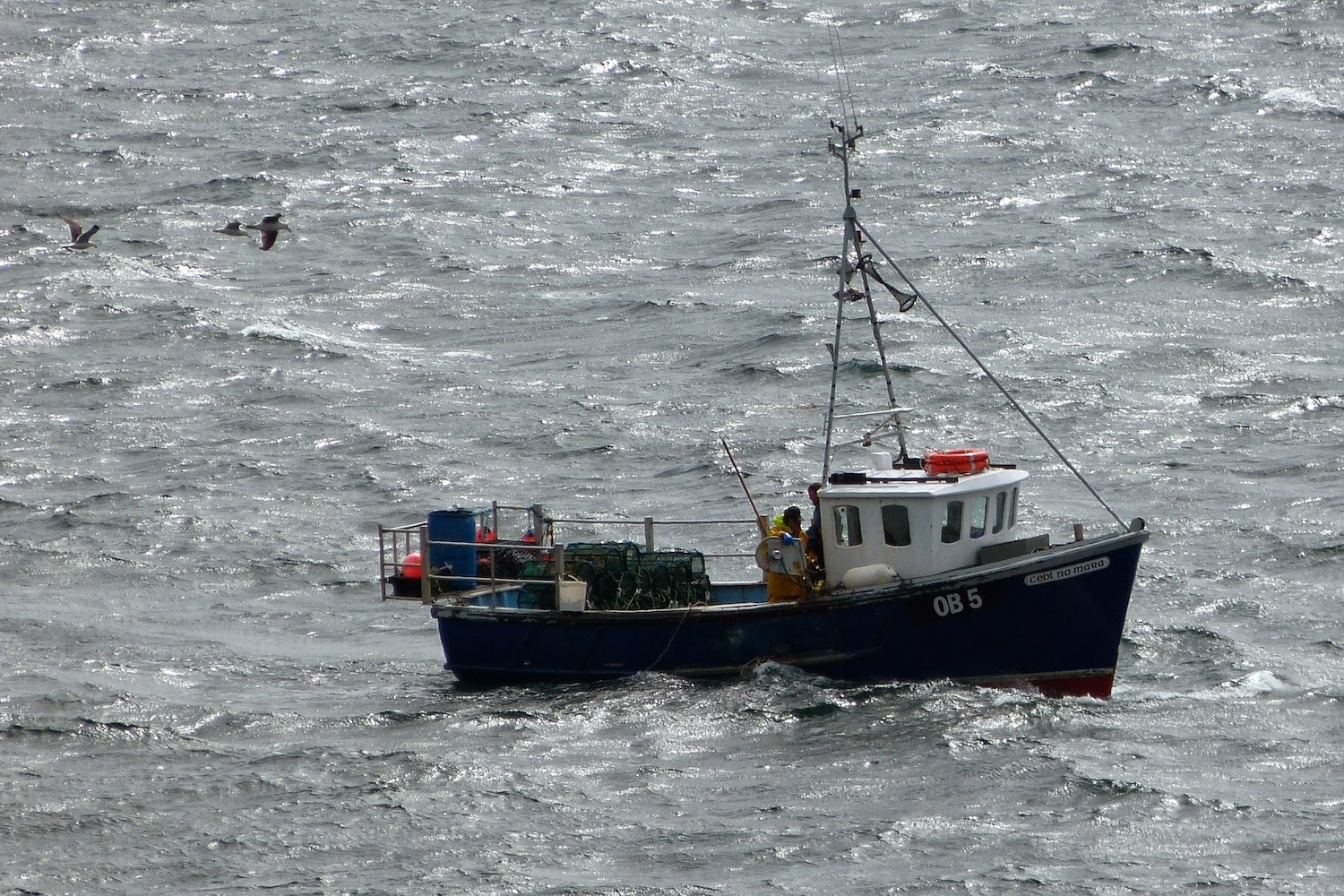 A Kilchoan Diary: Ceol na Mara