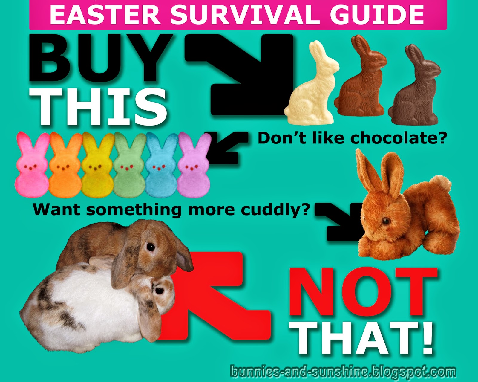 Bunnies and Sunshine: How you can help save a bunny.