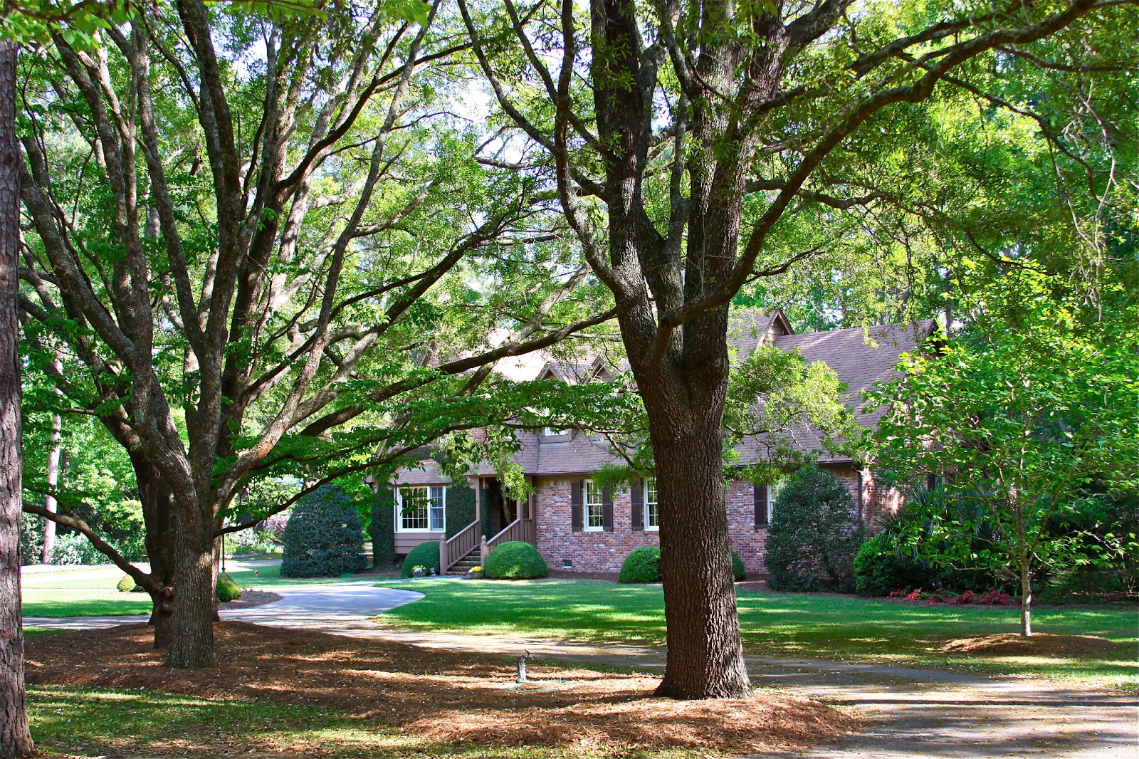 Sweet Southern Days: A Southern Garden