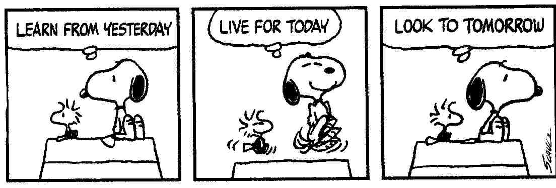 The Voice of...: ...Snoopy Wisdom
