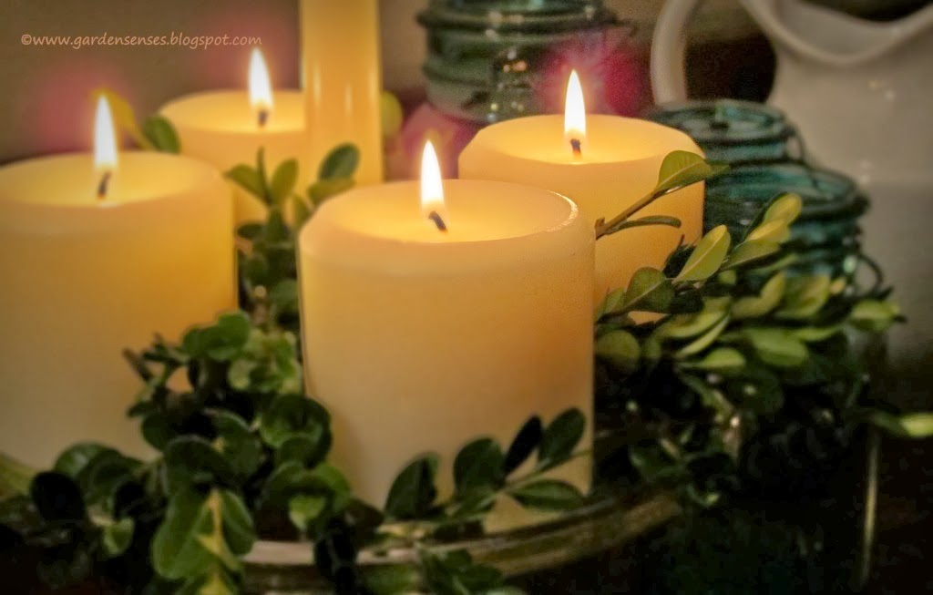 Garden Sense: Easy Advent Wreath