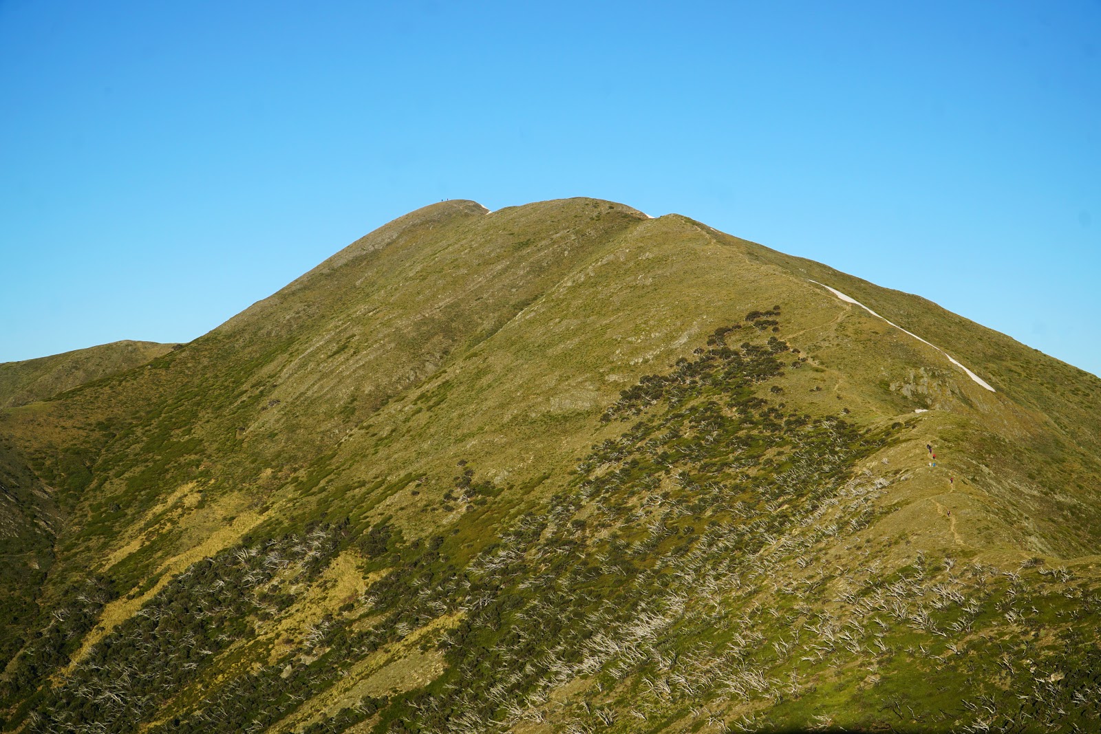 Mt Feathertop via the Razorback (Alpine NP) ~ The Long Way's Better