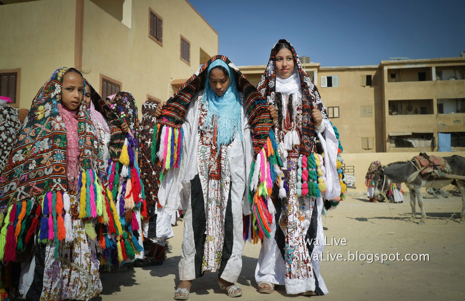 Siwa Live: Traditional costumes of the women in Siwa Oasis