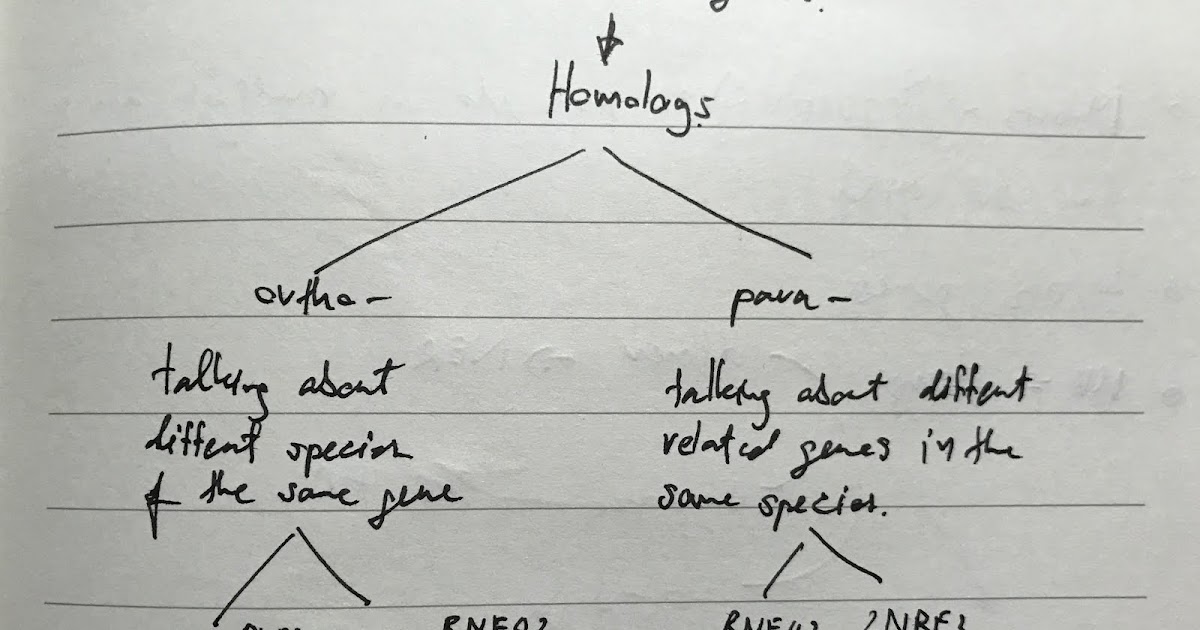 Homolog Ortholog and Paralog - for my own memory!