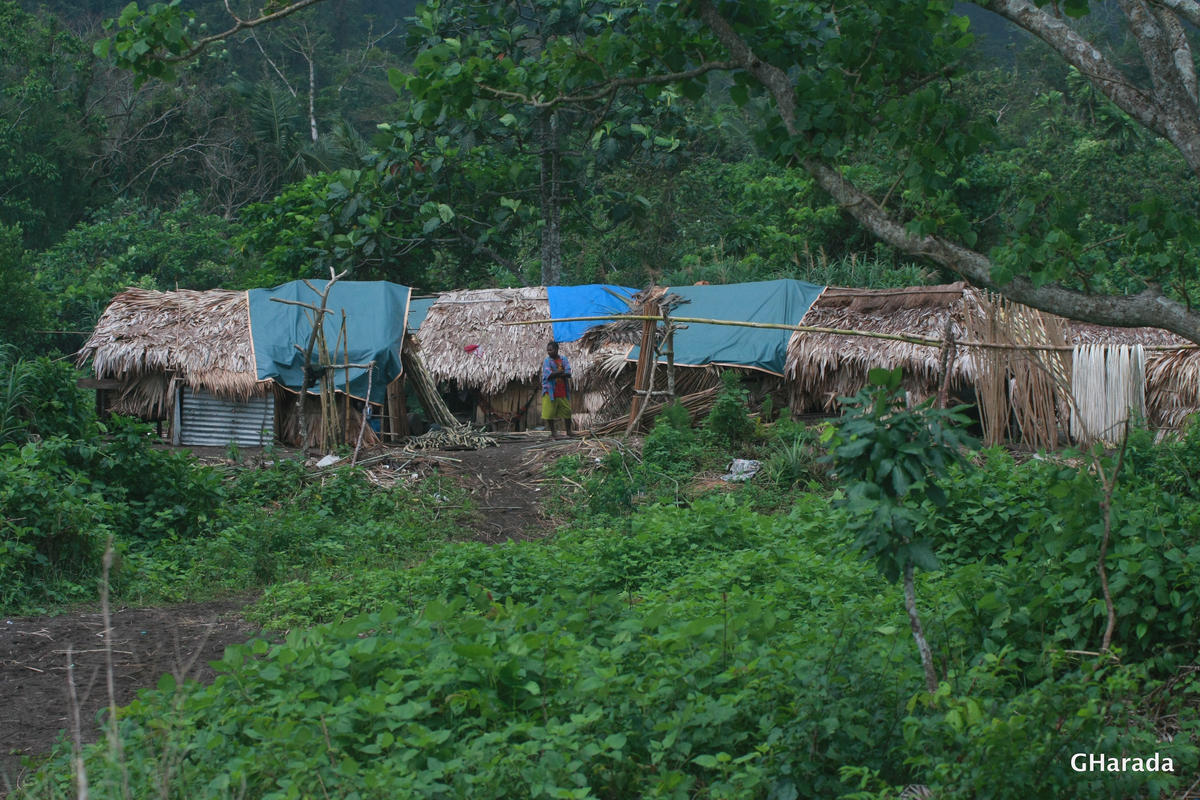 tribal trekker: Final leg of 3 tribe tour