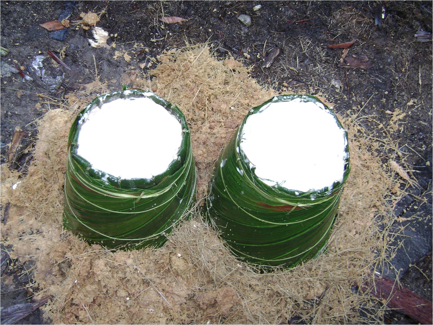 Annie's 1-2-3 Dish: Sanoli - (Almost Forgotten) Maluku Traditional ...