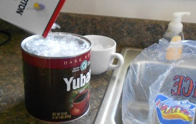 Almost Unschoolers: Homemade Ice Cream Relay