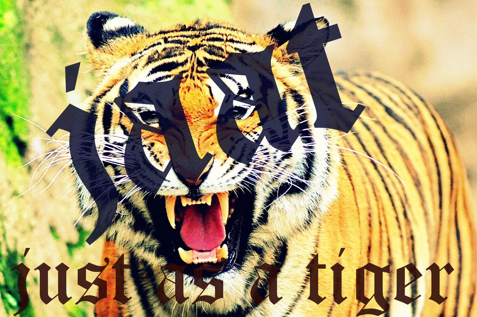 JAAT: JAT / JAAT BY GAGAN JAKHAR