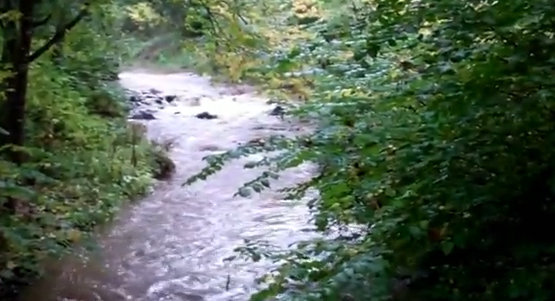 Tour Scotland: Tour Scotland Autmn Photograph Video Walk Quarrymill ...