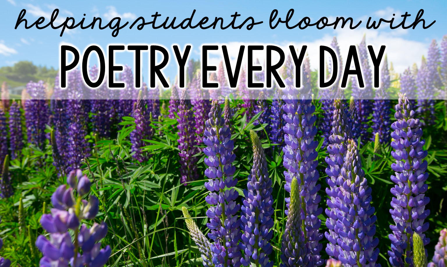 How To Effectively Use Poem Of The Week For More Than Fluency