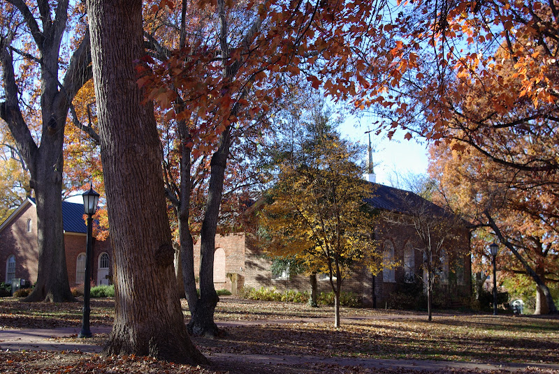 sweetbay: Fall Color on Franklin Street and the UNC campus