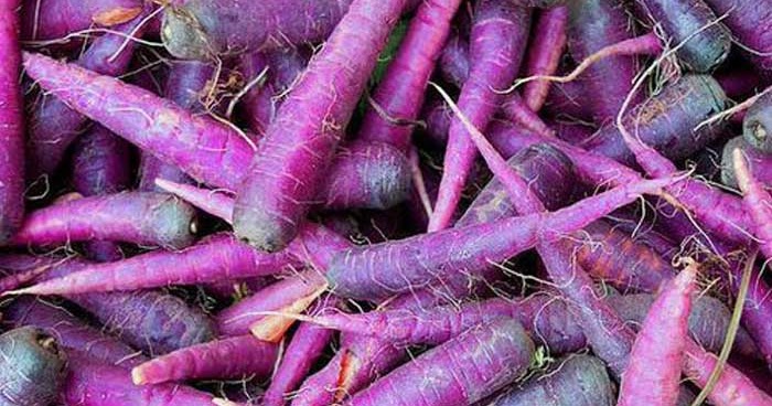 Carrots Were Originally Which Colour? | Interesting Facts