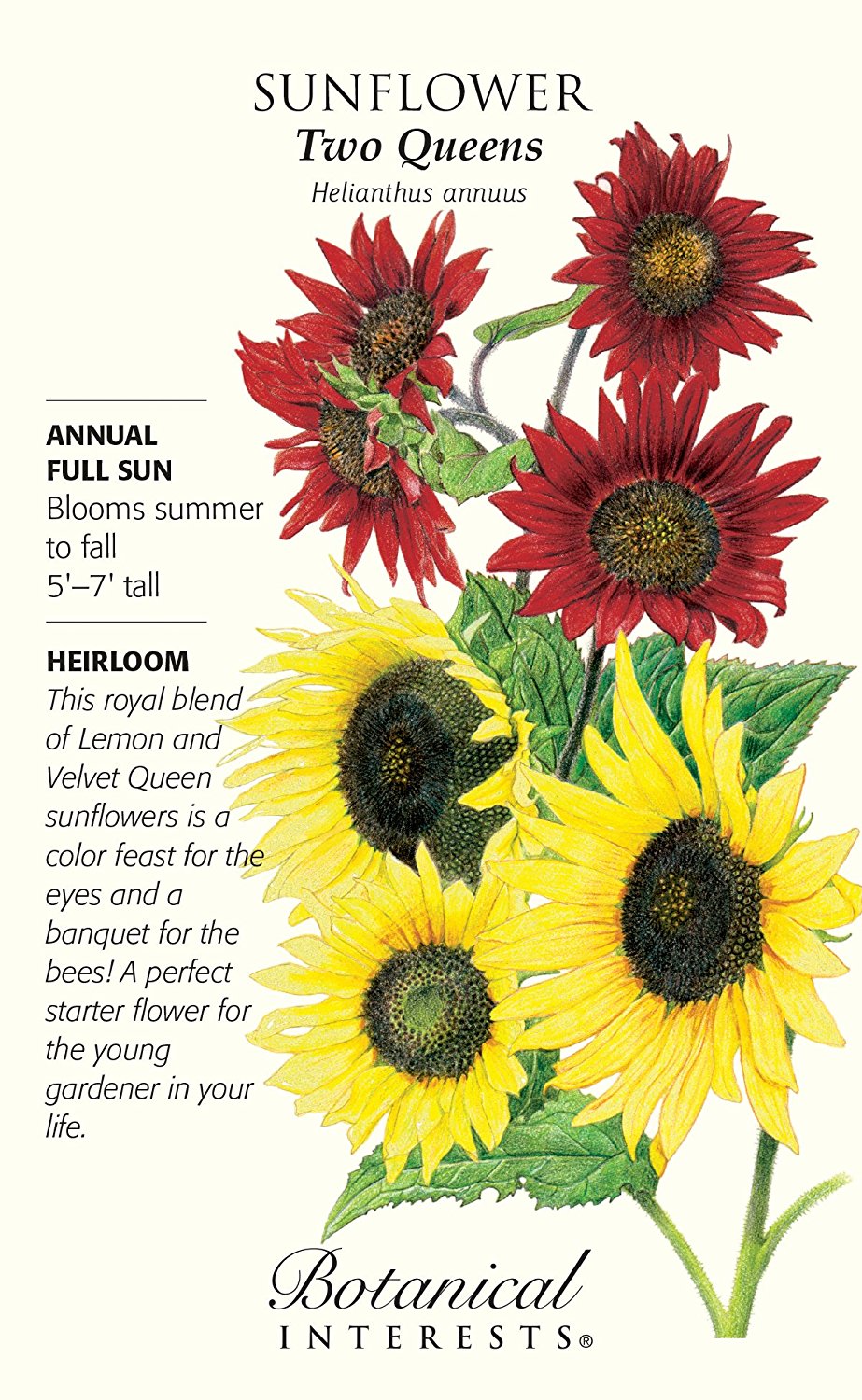 Ask The Plant Chick: Bud, Bloom, Seeds - The Evolution of a Sunflower