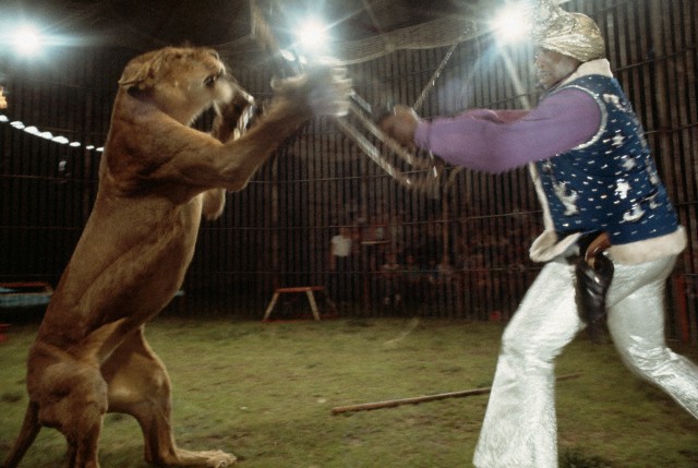 The Circus "NO SPIN ZONE": Calling all circus animal training ...