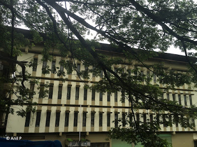 Windy Skies: Goa’s Roadside Crosses, Marigolds, And Fish Baskets