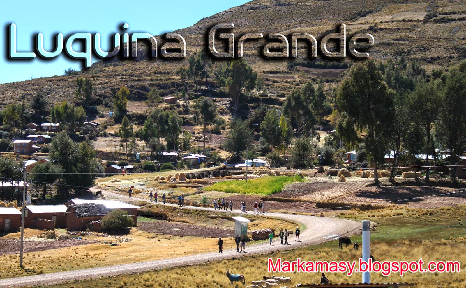 Markamasy.blogspot.com: LUQUINA GRANDE - PUNO PERU
