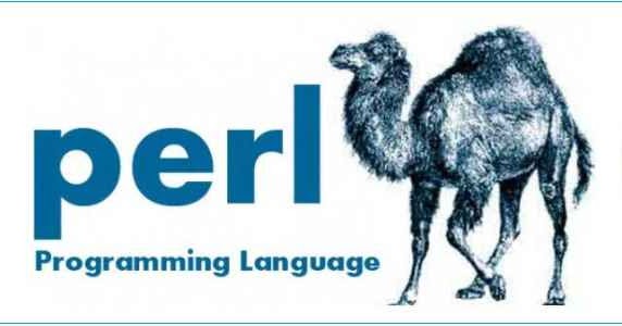 25 Best Perl Programming Interview Questions and Answers