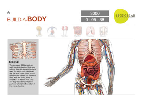 Blog de Alejandro Vela (Educación Física): RECURSO 4: Spongelab "Build ...