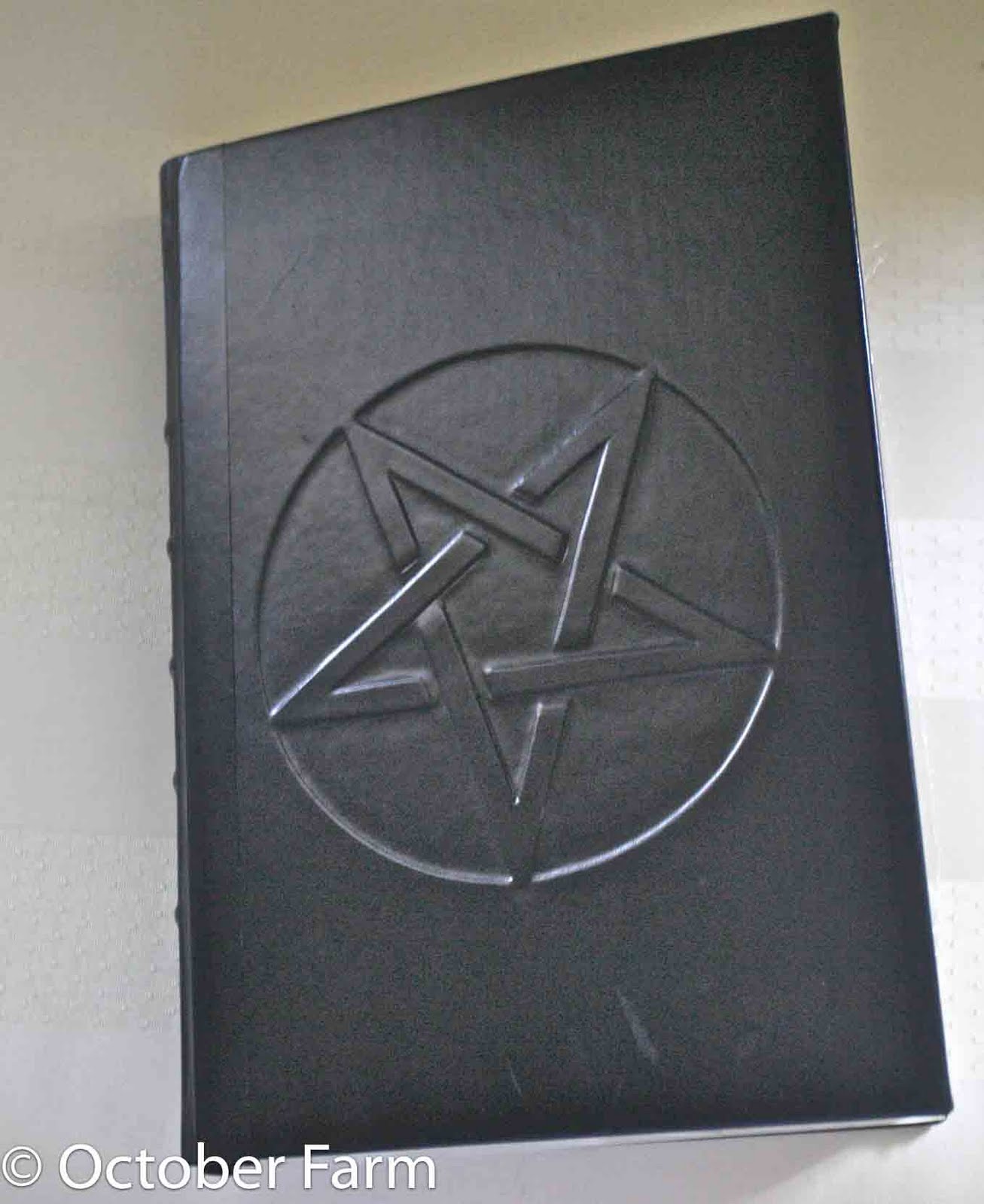 the Original Practical Magic Spell Book