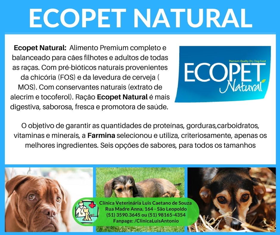 Ecopet Natural | atelier-yuwa.ciao.jp