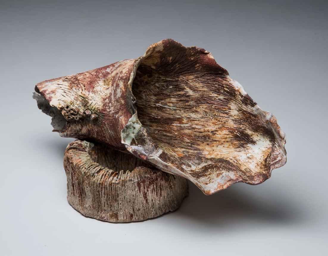 Cerâmica Contemporânea Brasileira