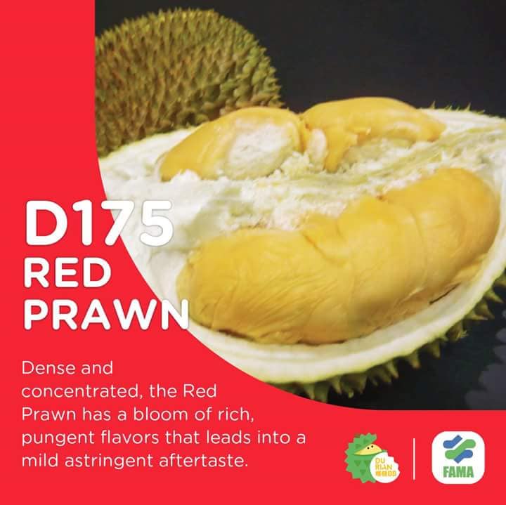 24 Jenis-Jenis Durian Beserta Nombor Code Yang RARE, Jarang Kita Dengar
