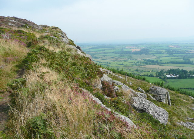 Quinn's and Fitzgerald's of Mullinavat Parish, Kilkenny and Jersey ...