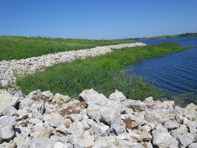 The Lost Grove Lake Mapping Project