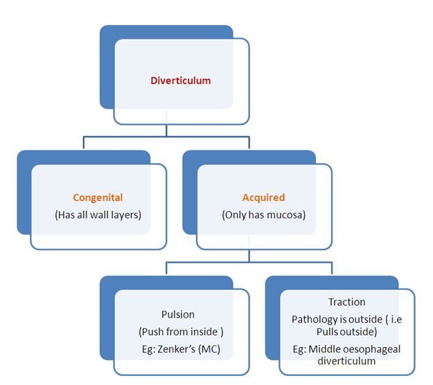MedicoNotebook: Esophageal diverticulum