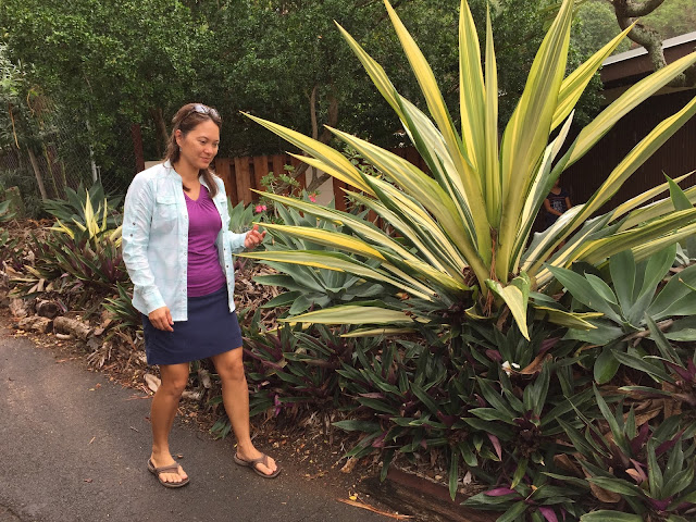 The Succulents and Pottery Compulsion: CSSH Open House - Karl Seff