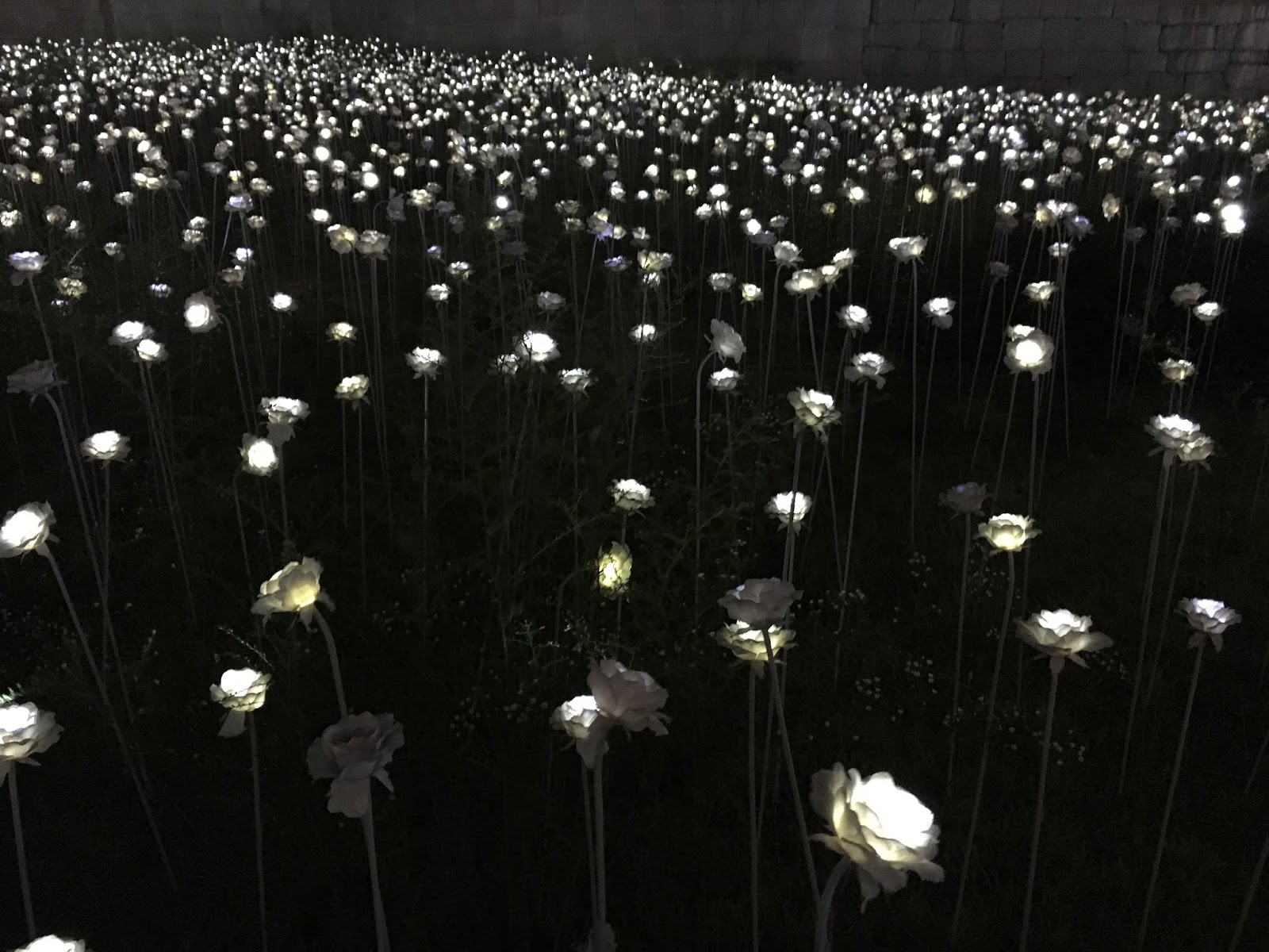 Dongdaemun Design Plaza Led Rose - Seoul, South Korea - Travel is my ...