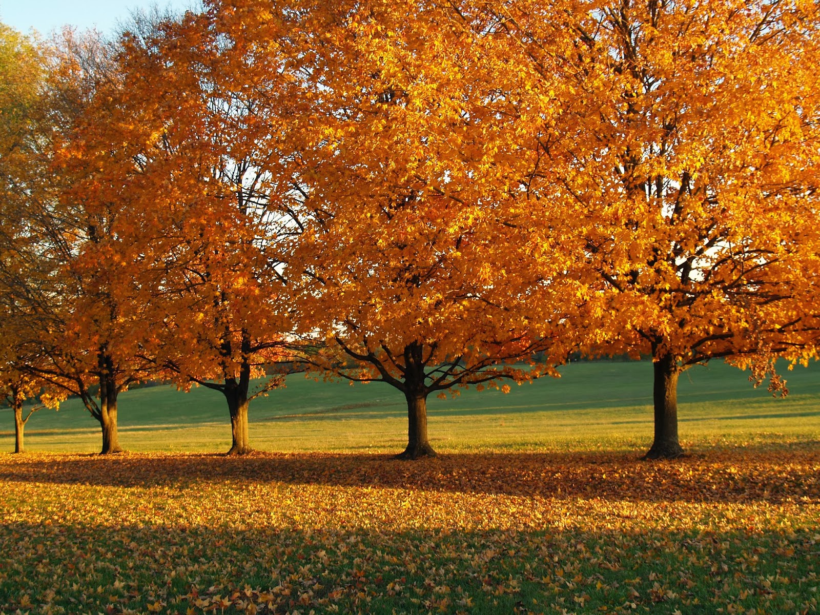 Red Moon Cafe: Autumn in Leavenworth, Kansas