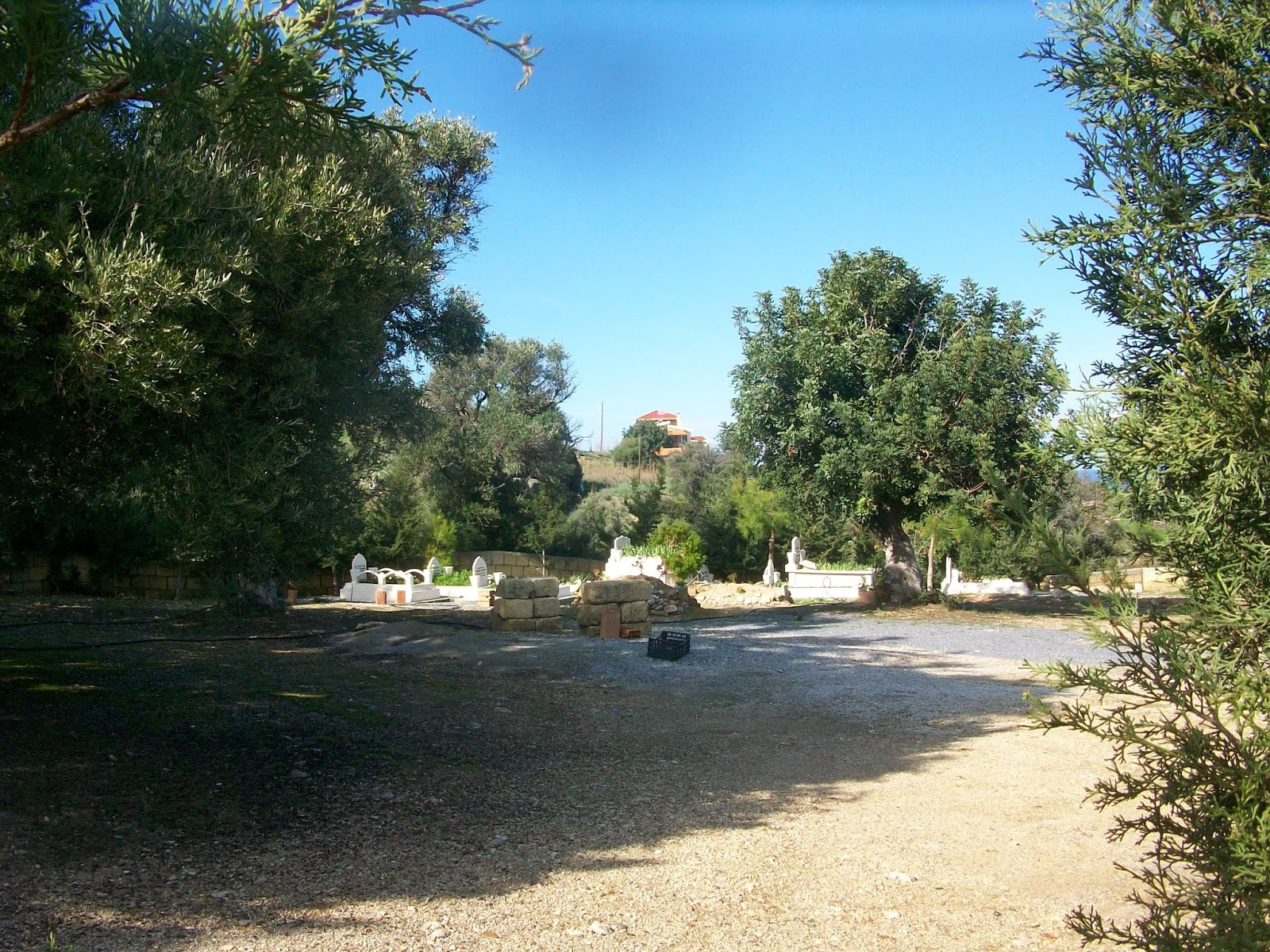 Gölge Gezgin: Cyprus Hiking 04 : Koruçam - Kayalar - Sadrazamköy