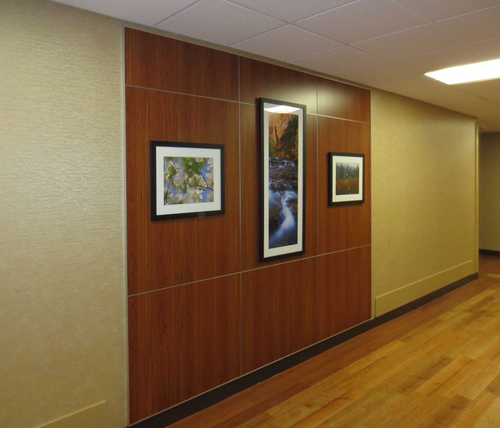 Marlite Friday Feature: University of Missouri Hospital - Columbia, MO