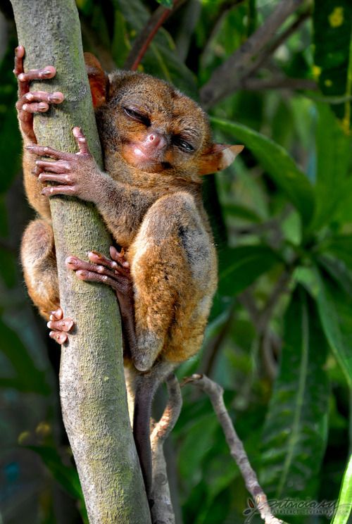 Beautiful World : Today's Collection of Beautiful and Funny Pics