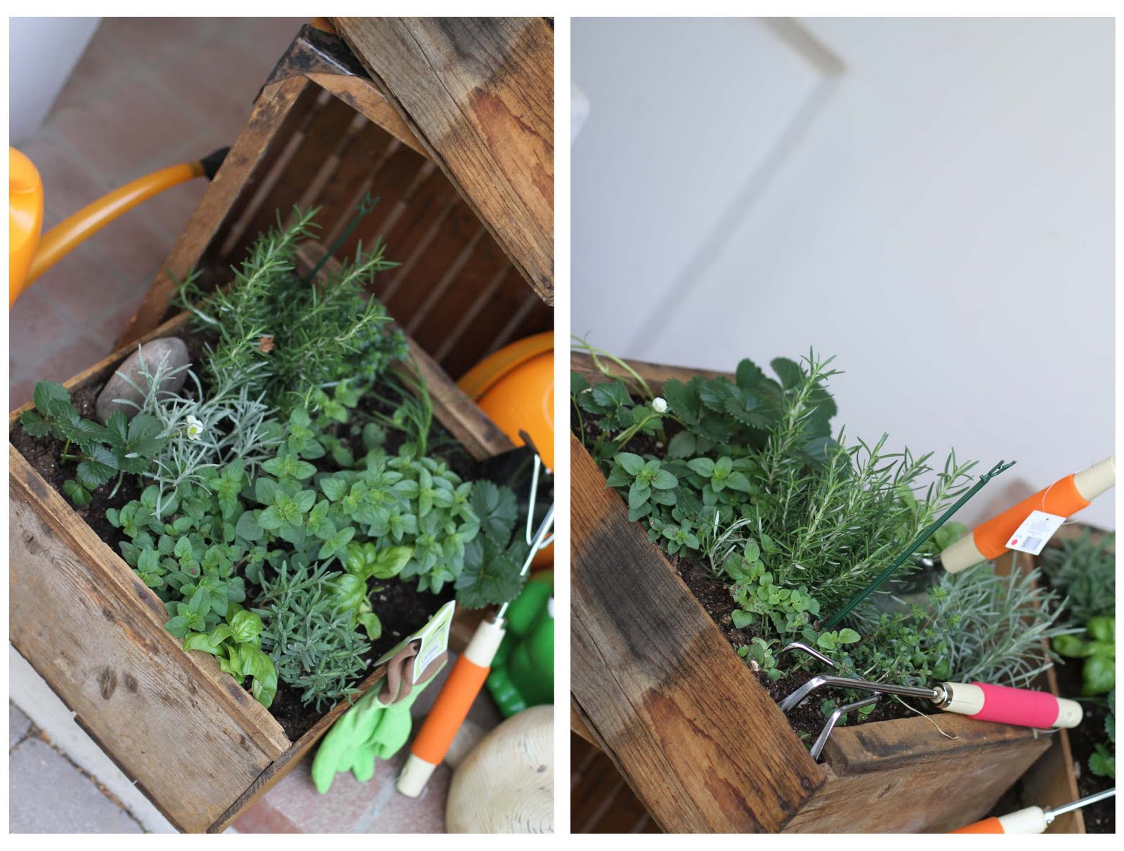 The Willows Home & Garden: garden boxes