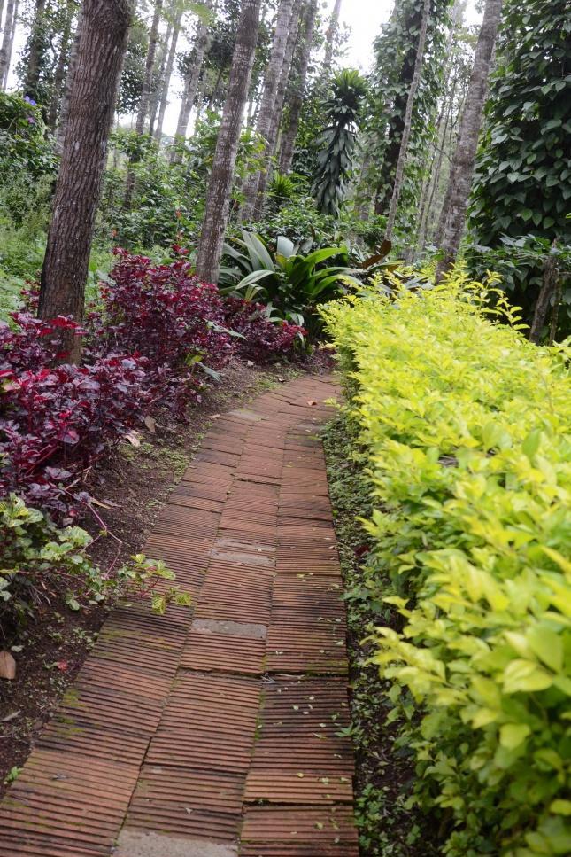 Tamilnadu Tourism: Kottachedu Teak Forest, Yercaud