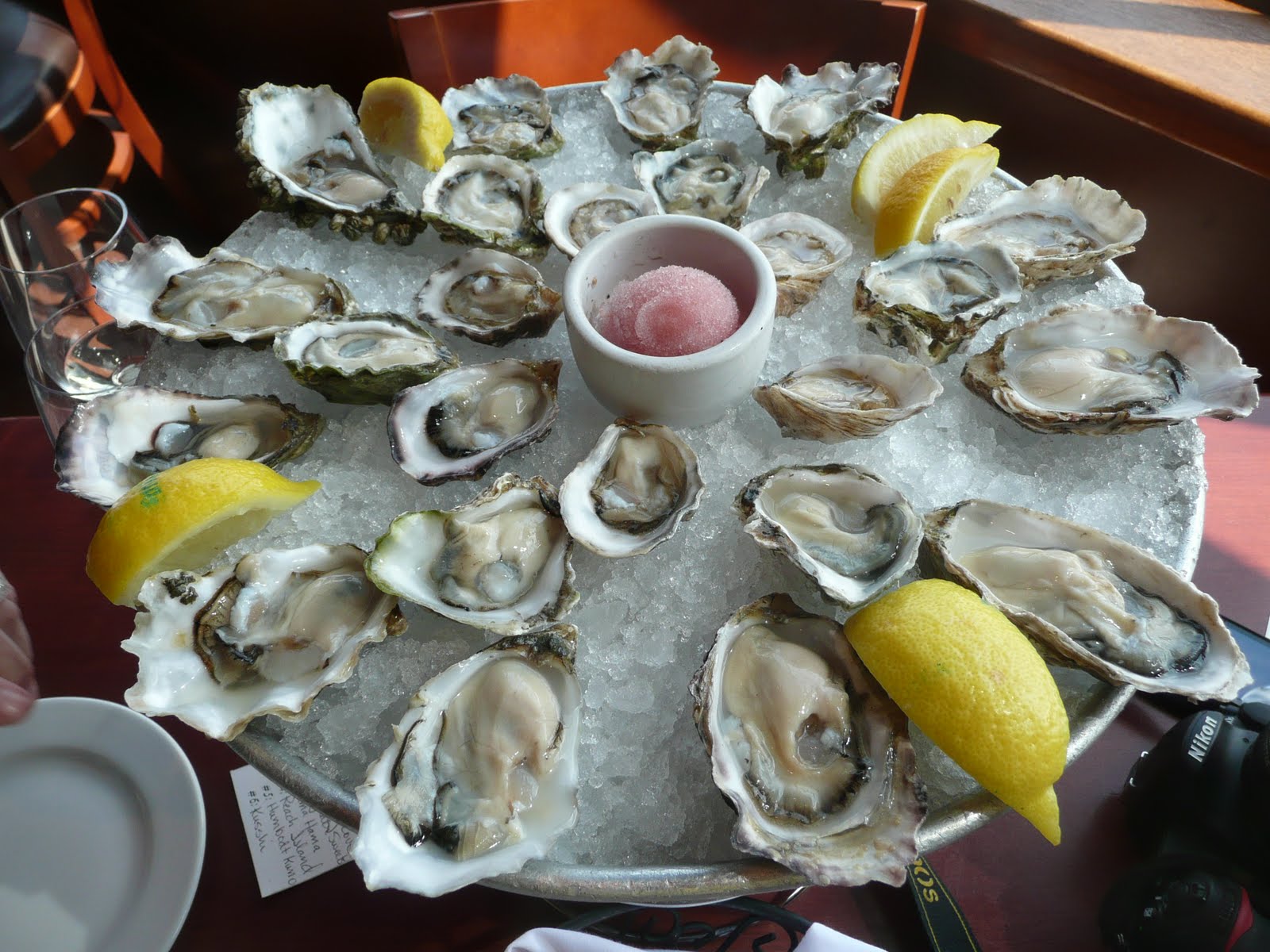 schiller-wine: West Coast Oysters and Wine with Jon Rowley in Seattle, USA