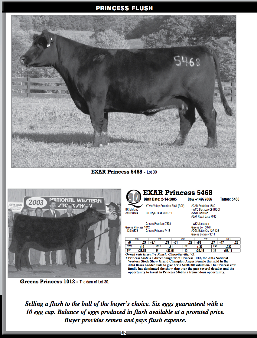 Executive Sires, Inc.: Flush Opportunity on the Most Unique Angus ...