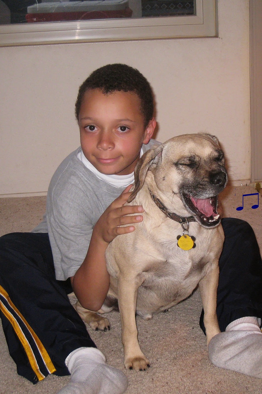 Life and Travel, Casey Style!!!!!